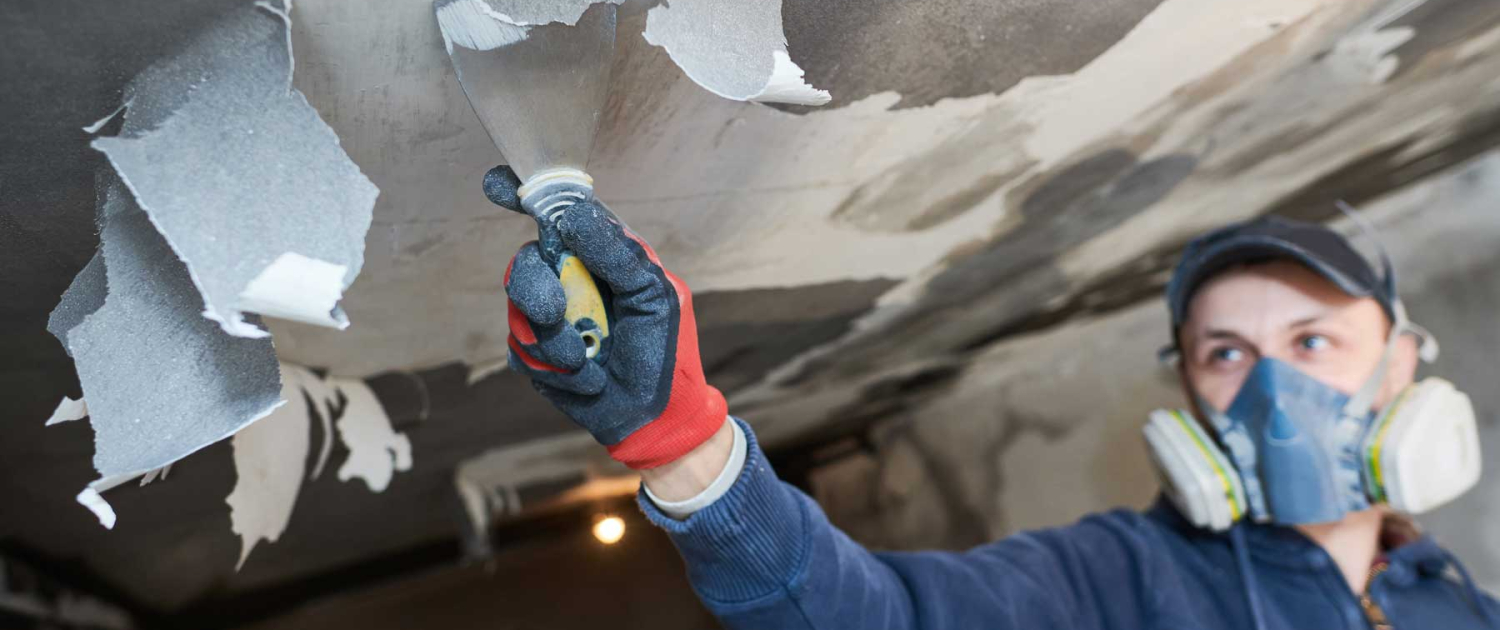 Water Damage Experts - The Water Nerds