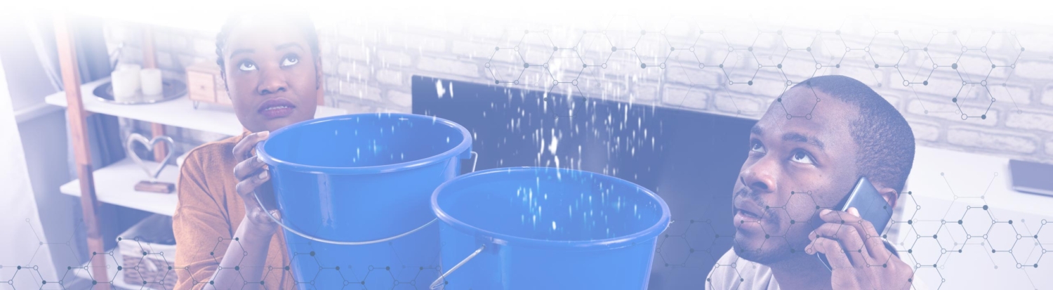 LEAK DETECTION - The Water Nerds